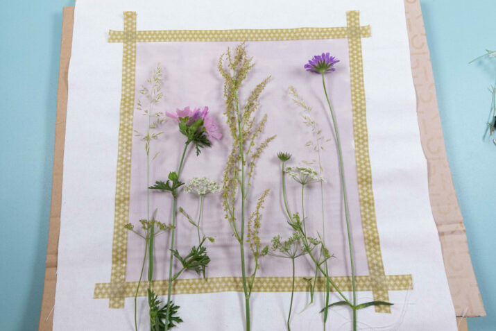 Mit SolarFast™ Lichtfarben Textilien bedrucken – so geht's - Snaply Magazin