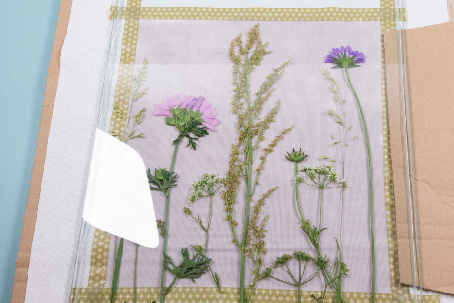Mit SolarFast™ Lichtfarben Textilien bedrucken – so geht's - Snaply Magazin