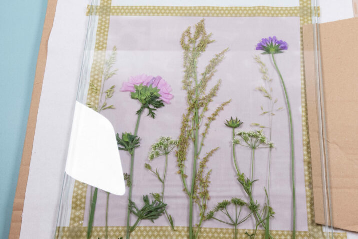 Mit SolarFast™ Lichtfarben Textilien bedrucken – so geht's - Snaply Magazin